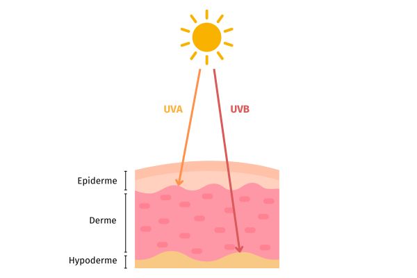 Effets du soleil sur la peau : un risque réel ? - Valebio